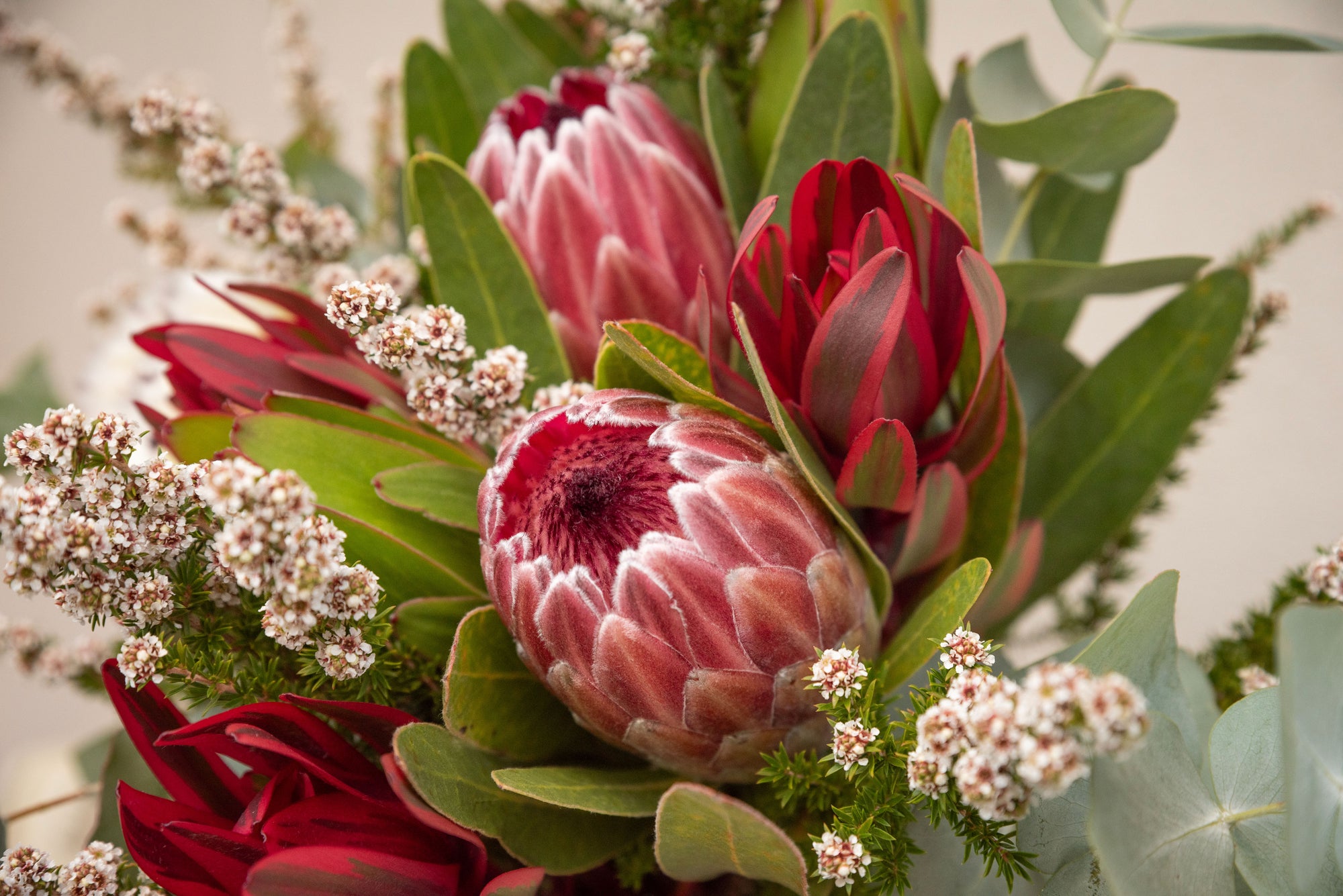Basket Range Flowers